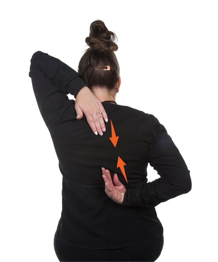 Avoiding Head and Neck Pain and Fatigue for Dental Professionals